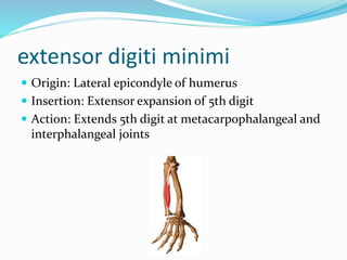 Biomechanics presentation | PPTX | Death, Injury, or Military Conflict ...