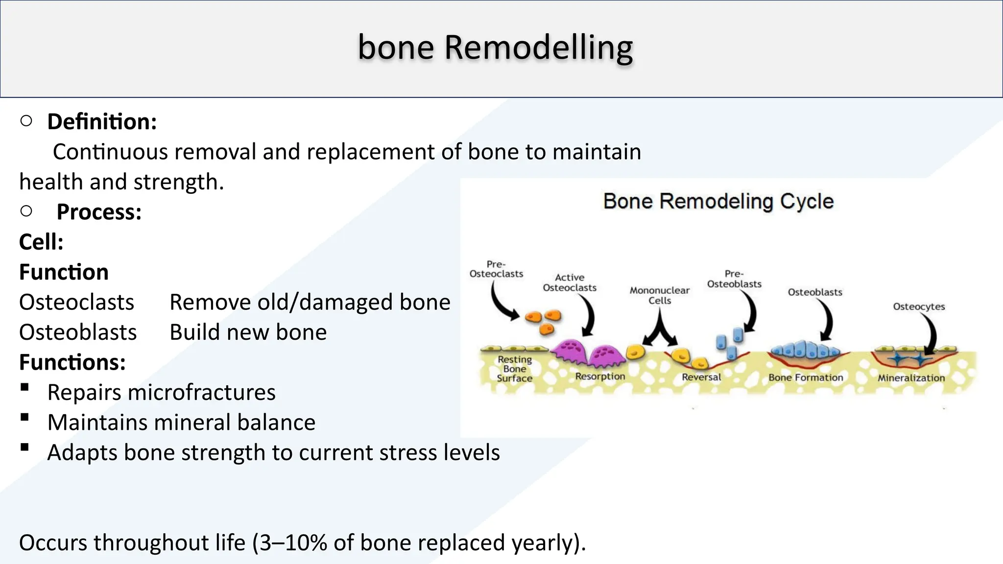 biomechanics presentation.pptx (human body strength | PPTX