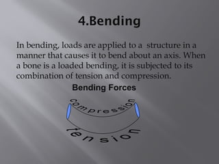BIOMECHANICS PROPERTIES OF BONE - Padmashree Institute of Physiotherapy ...