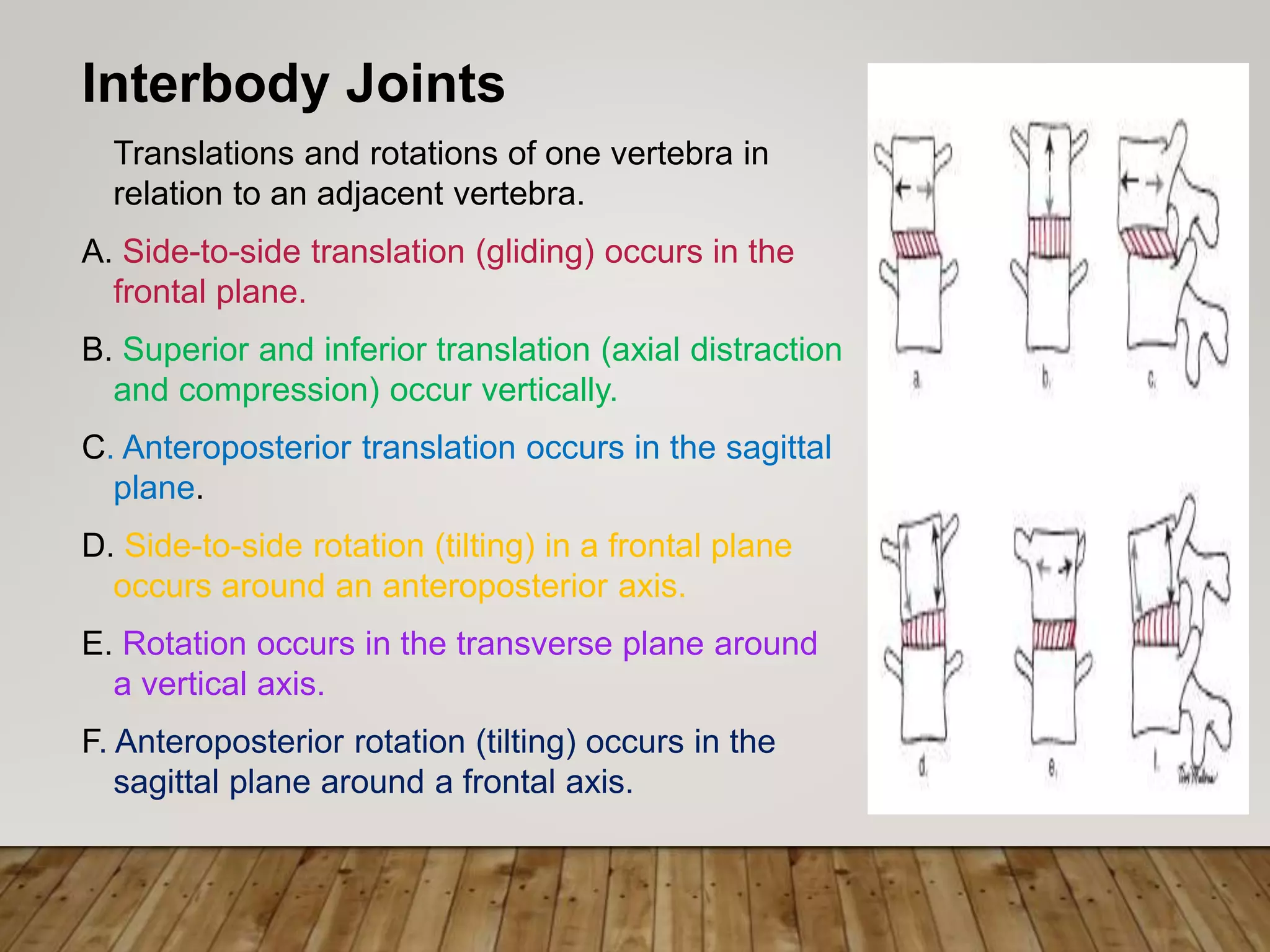 Biomechanics spine | PPTX