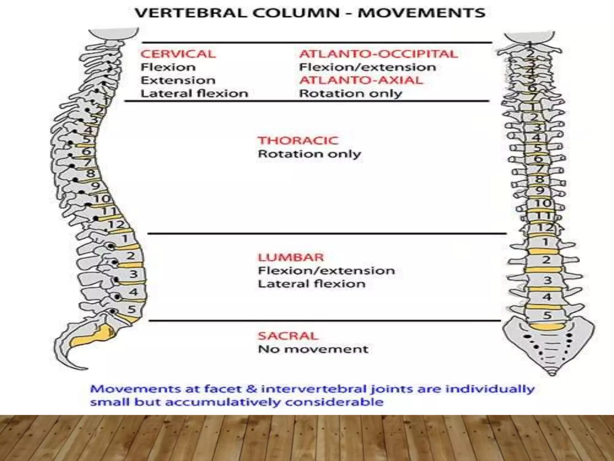 Biomechanics spine | PPTX