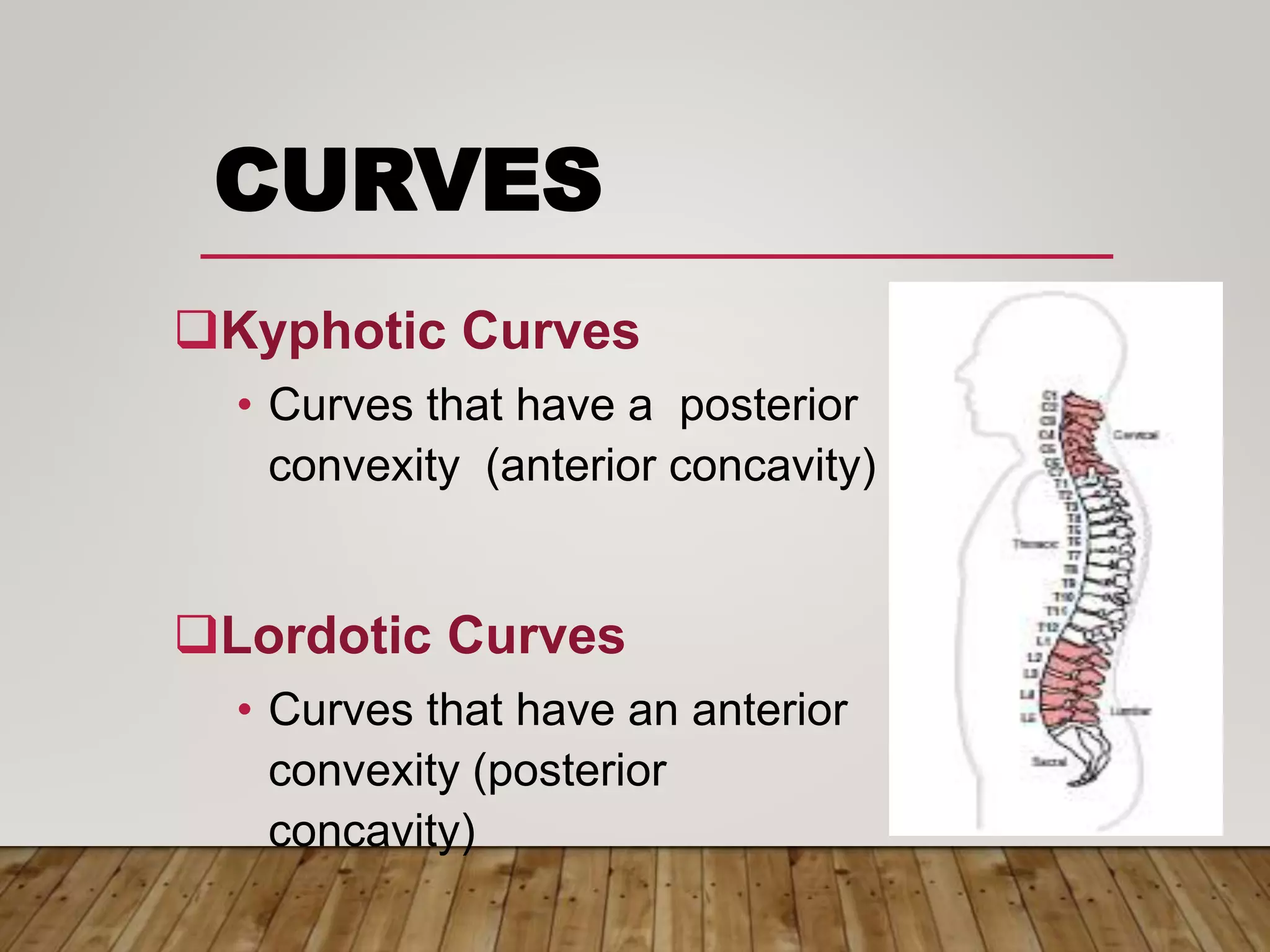 Biomechanics spine | PPTX