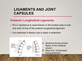 Biomechanics spine | PPTX