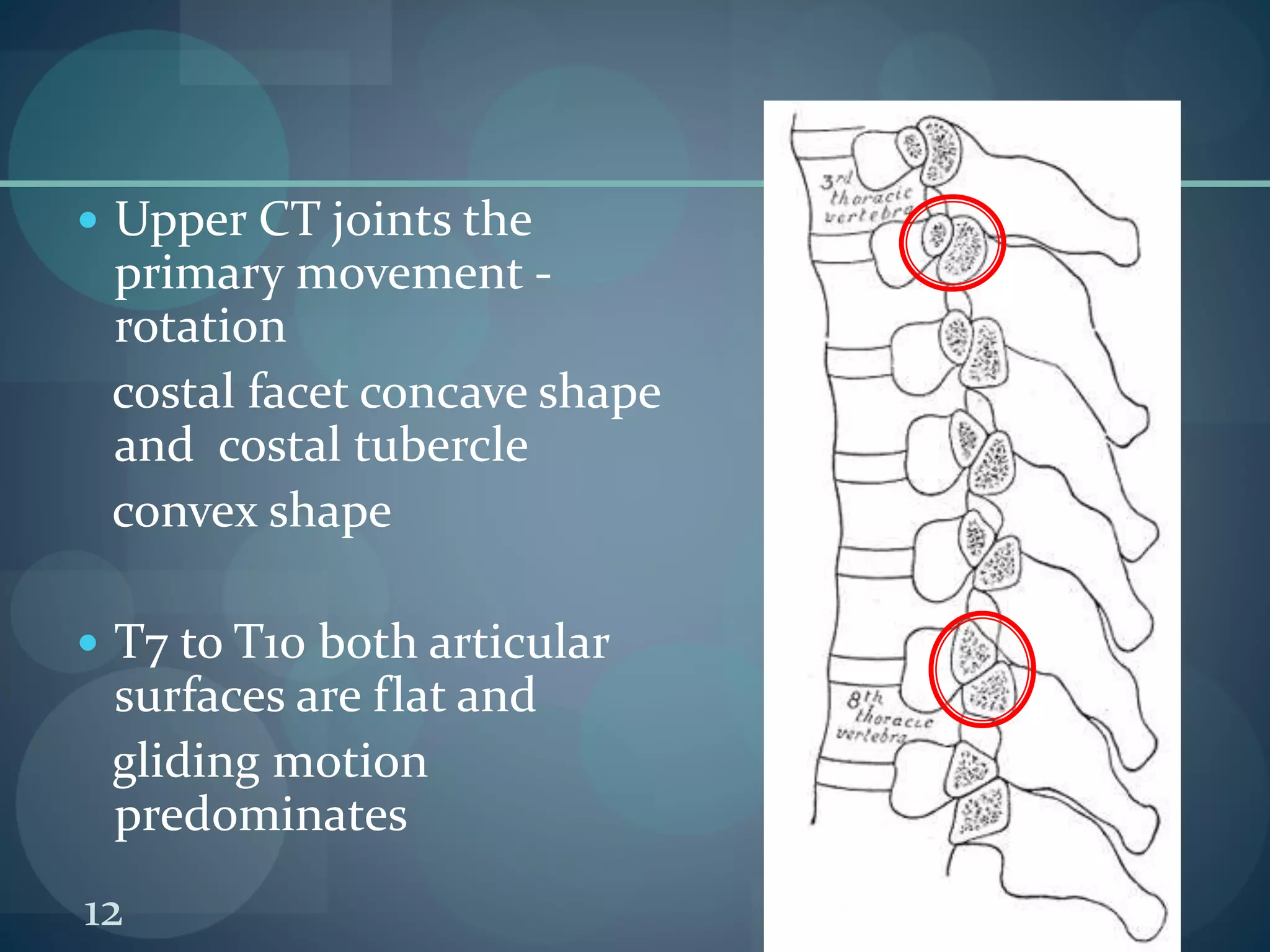 BIOMECHA OF THORAC AND RIB CAGE.pptx