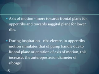 BIOMECHA OF THORAC AND RIB CAGE.pptx