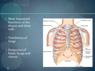 BIOMECHA OF THORAC AND RIB CAGE.pptx