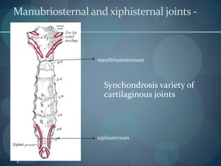 BIOMECHA OF THORAC AND RIB CAGE.pptx