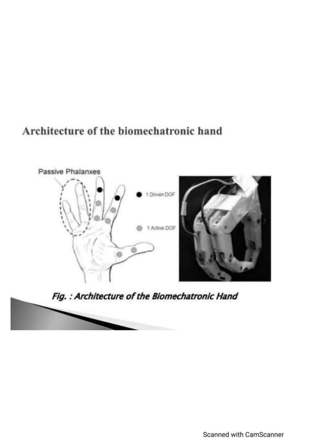 Biomechatronic hand pdf | PPT