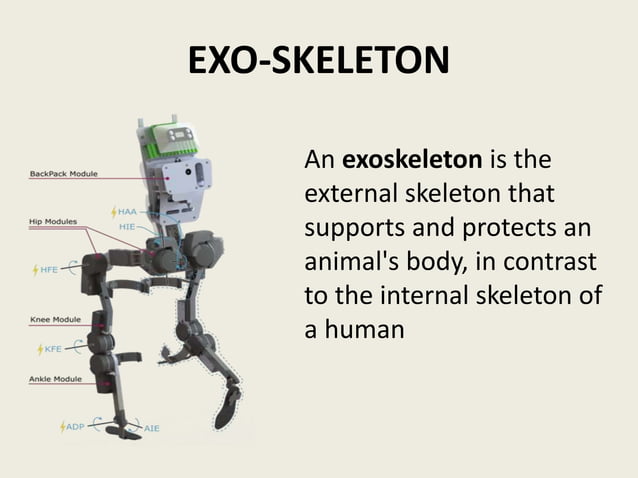 Bio mechatronics | PPTX
