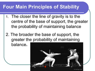 Biomech noteskoodle | PPT