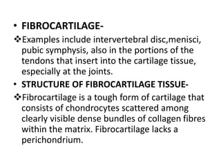Biomech Of Cartilage | PPTX