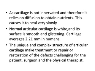 Biomech Of Cartilage | PPTX