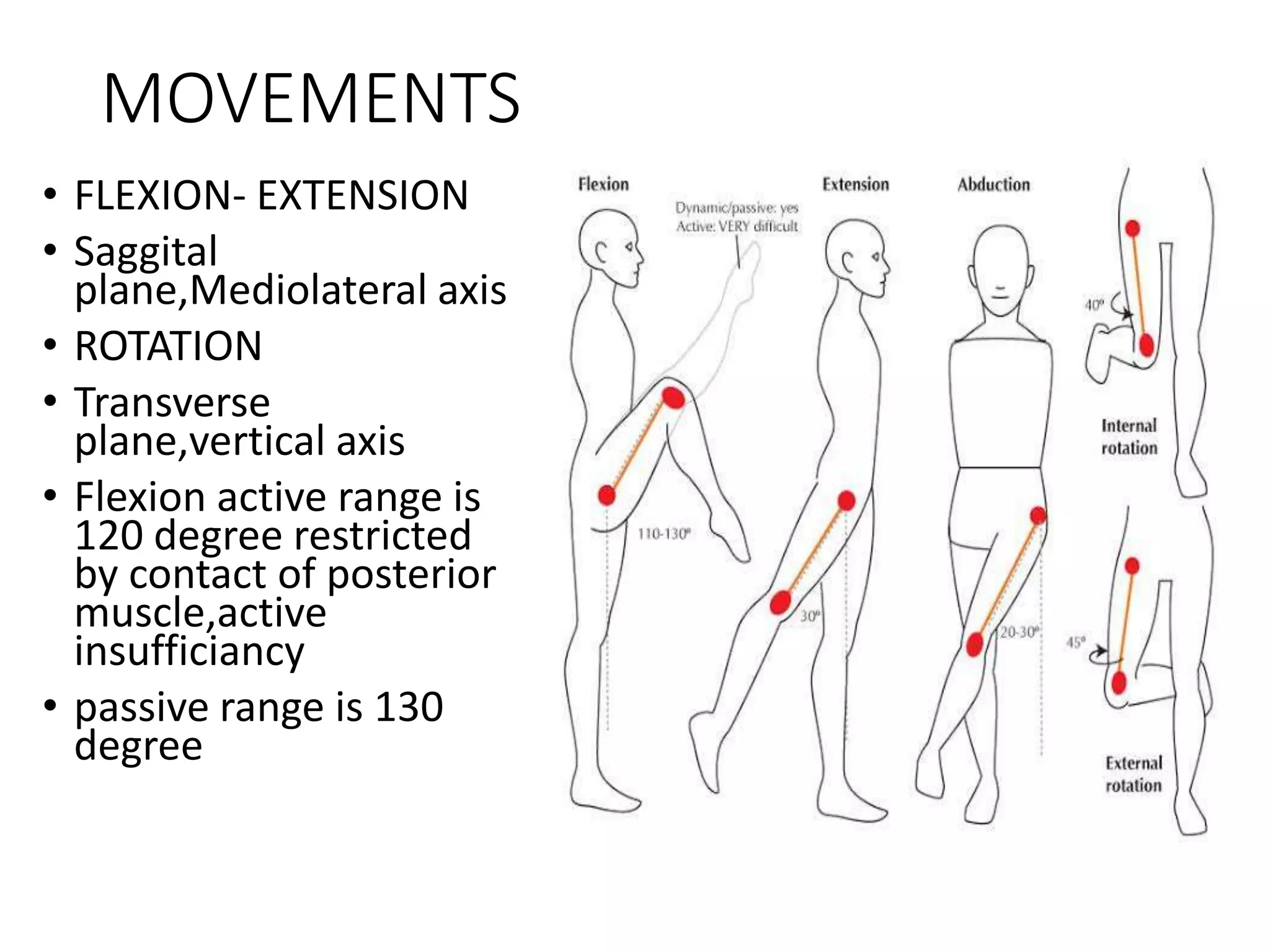 Biomechanics of knee joint | PPTX