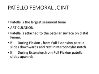 Biomechanics of knee joint | PPTX
