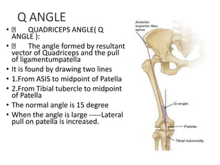Biomechanics of knee joint | PPTX