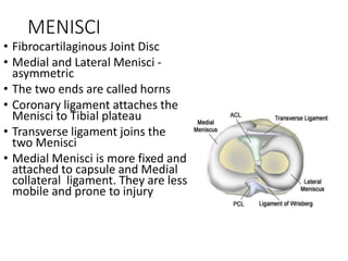 Biomechanics of knee joint | PPTX