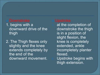 Biomech of swimming PRESENTATION OF BIOMECHANICS | PPT
