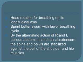 Biomech of swimming PRESENTATION OF BIOMECHANICS | PPT