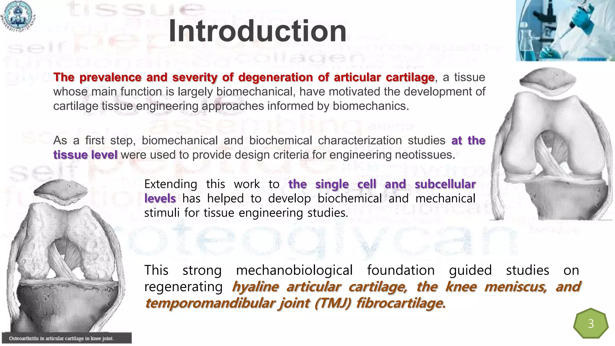 Harnessing Biomechanics to Develop Cartilage Regeneration Strategies ...