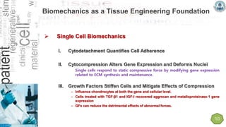 Harnessing Biomechanics to Develop Cartilage Regeneration Strategies | PPTX | Bone and Joint ...