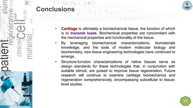 Harnessing Biomechanics to Develop Cartilage Regeneration Strategies | PPTX | Bone and Joint ...