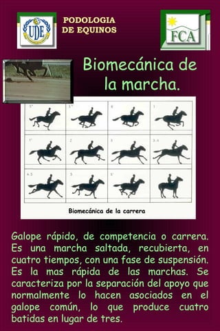 Biomecánica 1 (clase 3) | PPT