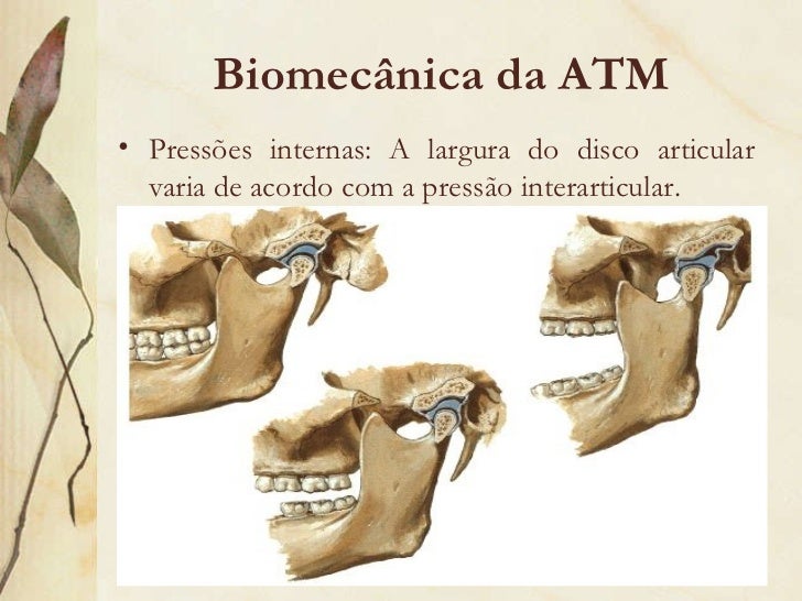 ATM - BIOMECÂNICA