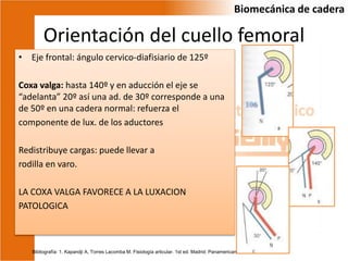 Biomecánica de cadera | PPTX