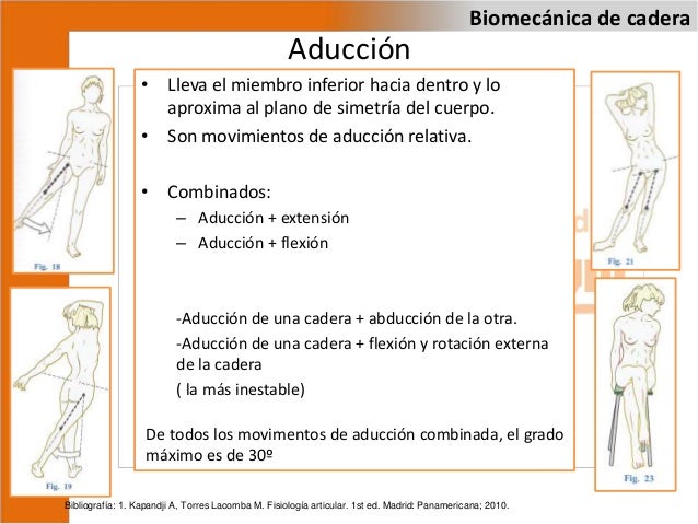Biomecánica de cadera