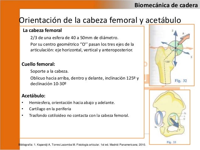 Biomecánica de cadera