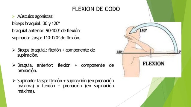 Biomecánica de codo