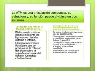 Biomecánica de la articulación temporomandiblular | PPTX