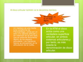Biomecánica de la articulación temporomandiblular | PPTX