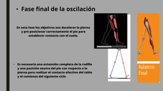 Biomecánica de la Marcha | PPTX