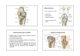 BiomecáNica De La Rodilla | PDF