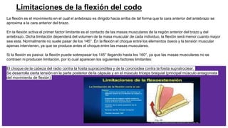 BIOMECÁNICA DEL CODO PRESENTACION EN POWER POINT | PPTX