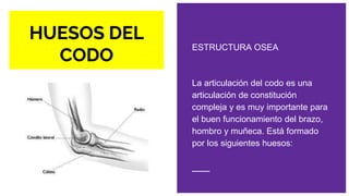 BIOMECÁNICA DEL CODO PRESENTACION EN POWER POINT | PPTX