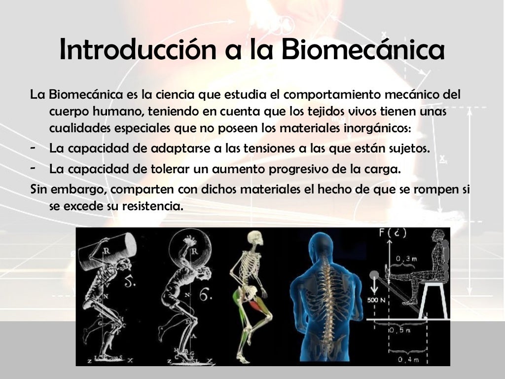 Biomecanica