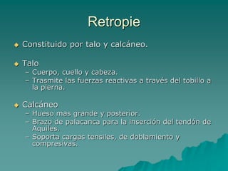 BIOMECÁNICA Y ANATOMÍA DEL PIE sesion 4.pptx