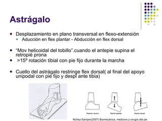 Biomecanica tobillo, pruebas funcionales y ortopedicas | PPT