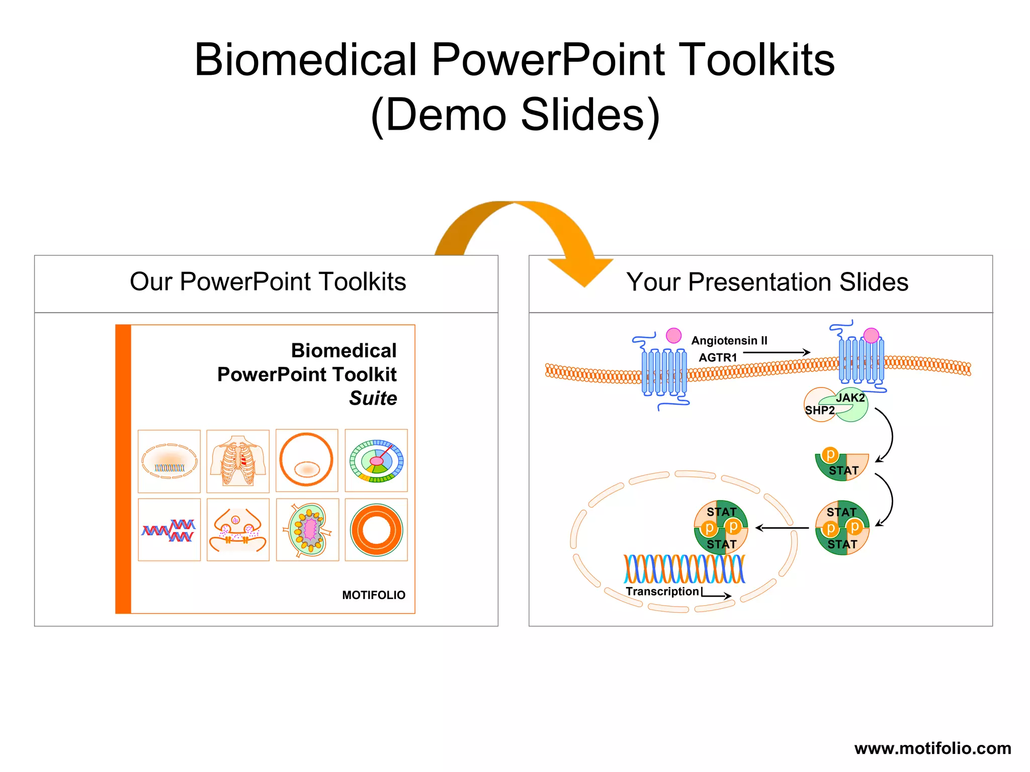 Biomedical PowerPoint Toolkits for Presentations | PPT