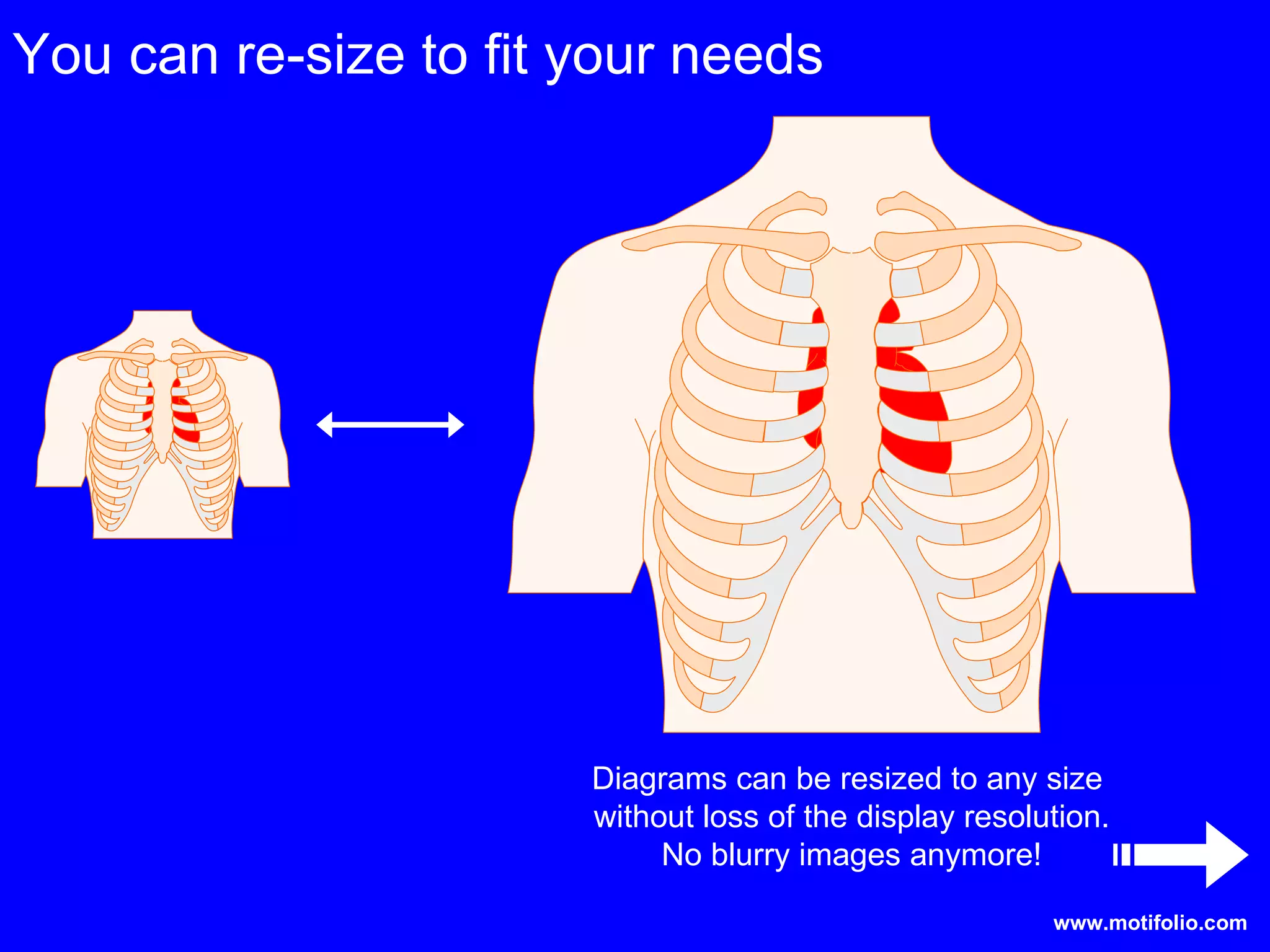 Biomedical PowerPoint Toolkits for Presentations | PPT