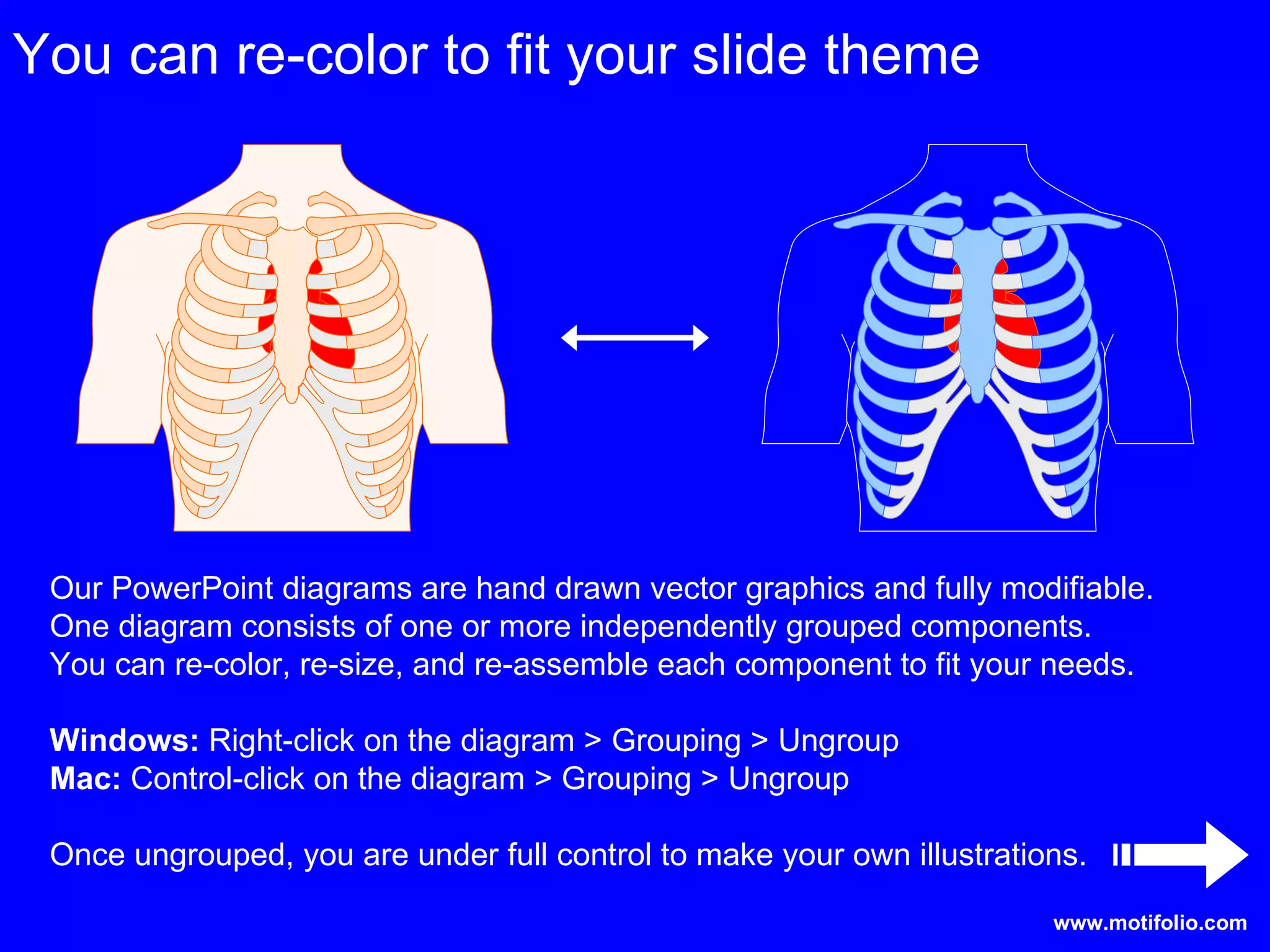 Biomedical PowerPoint Toolkits for Presentations | PPT