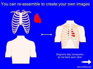 Biomedical PowerPoint Toolkits for Presentations | PPT