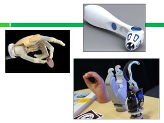 Anatomy & Physiology Lecture Notes - Biomedical design biomaterials and ...