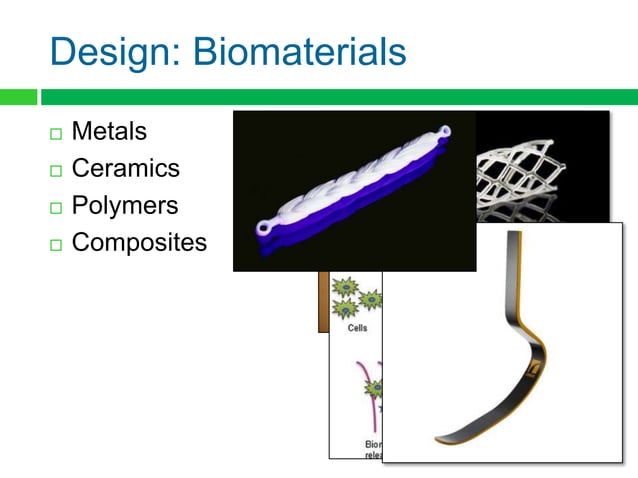 Anatomy & Physiology Lecture Notes - Biomedical design biomaterials and ...