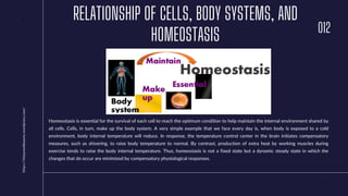 Biomedical eng human physiology, introduction to human body | PPT