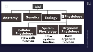 Biomedical eng human physiology, introduction to human body | PPT