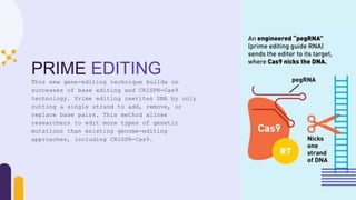 BIOMEDICAL ENGINEERING - FINAL (2) (3).pdf