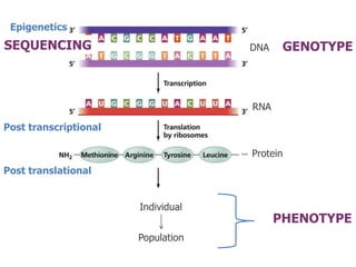 Biomedical genomics lecture | PPT